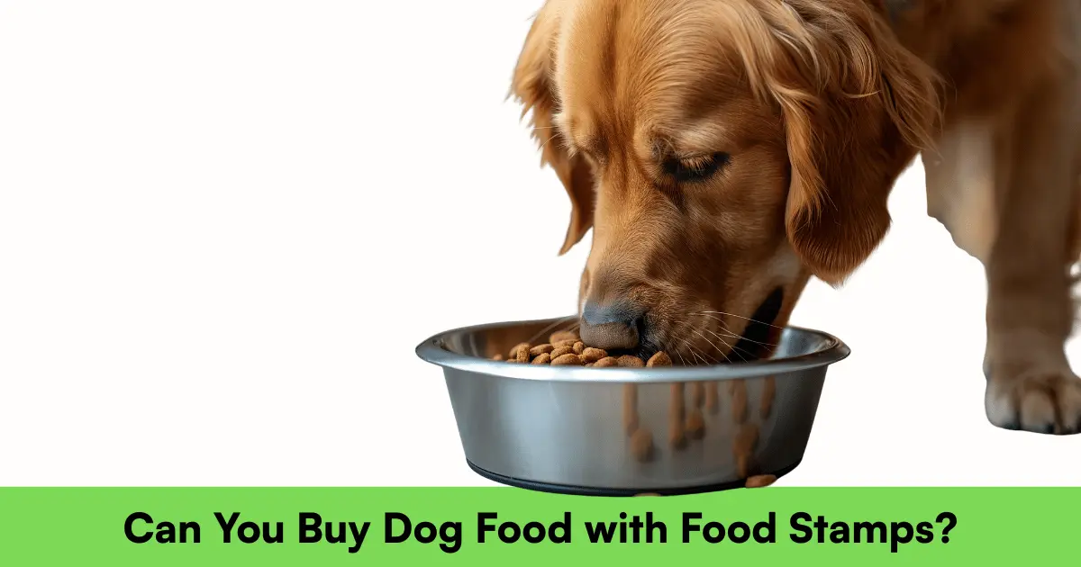 Can You Buy Dog Food with Food Stamps (SNAP) in 2026?